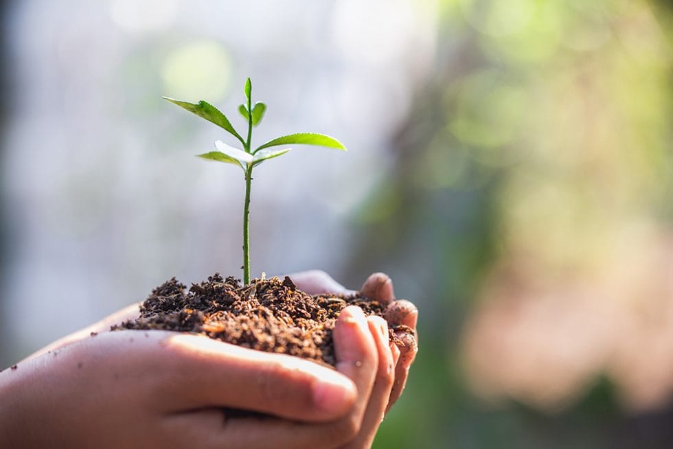 Social Responsibility | Viaro